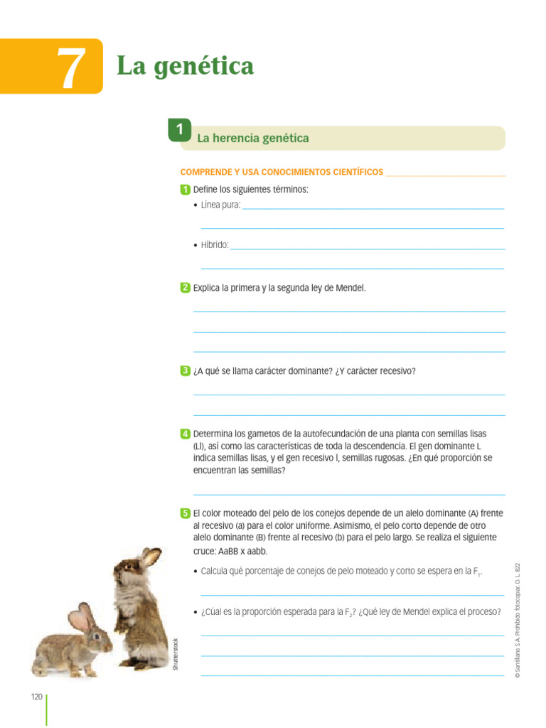 7MA UNIDAD La Genetica - CompressPdf | PDF