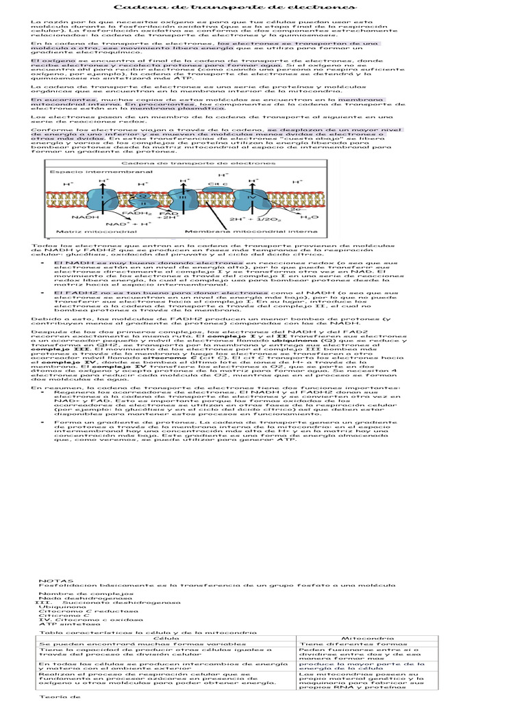 Cadena de Transporte de Electrones | PDF | Cadena de transporte de electrones | Trifosfato de ...