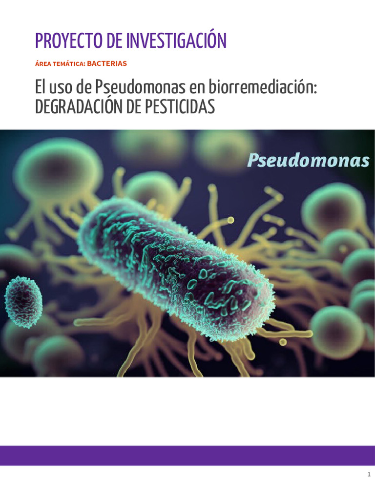 pseudomonas | PDF