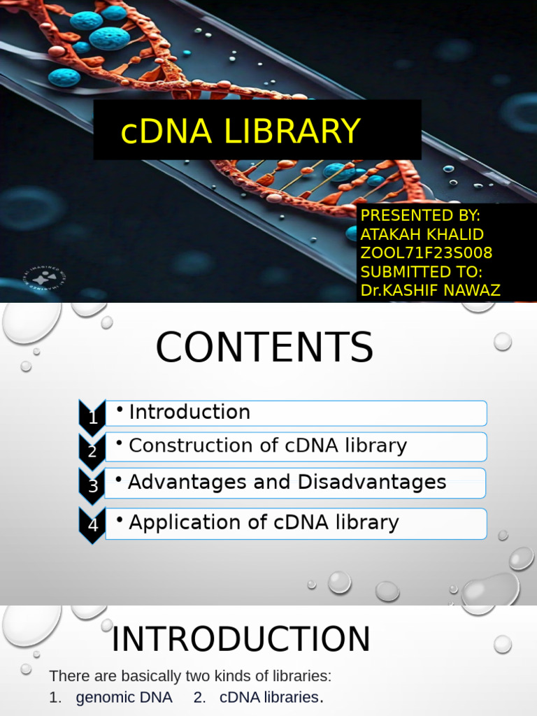 Cdna Library Final-2 | PDF