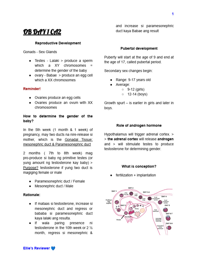 Ob Normal Ca2 Reviewer | PDF