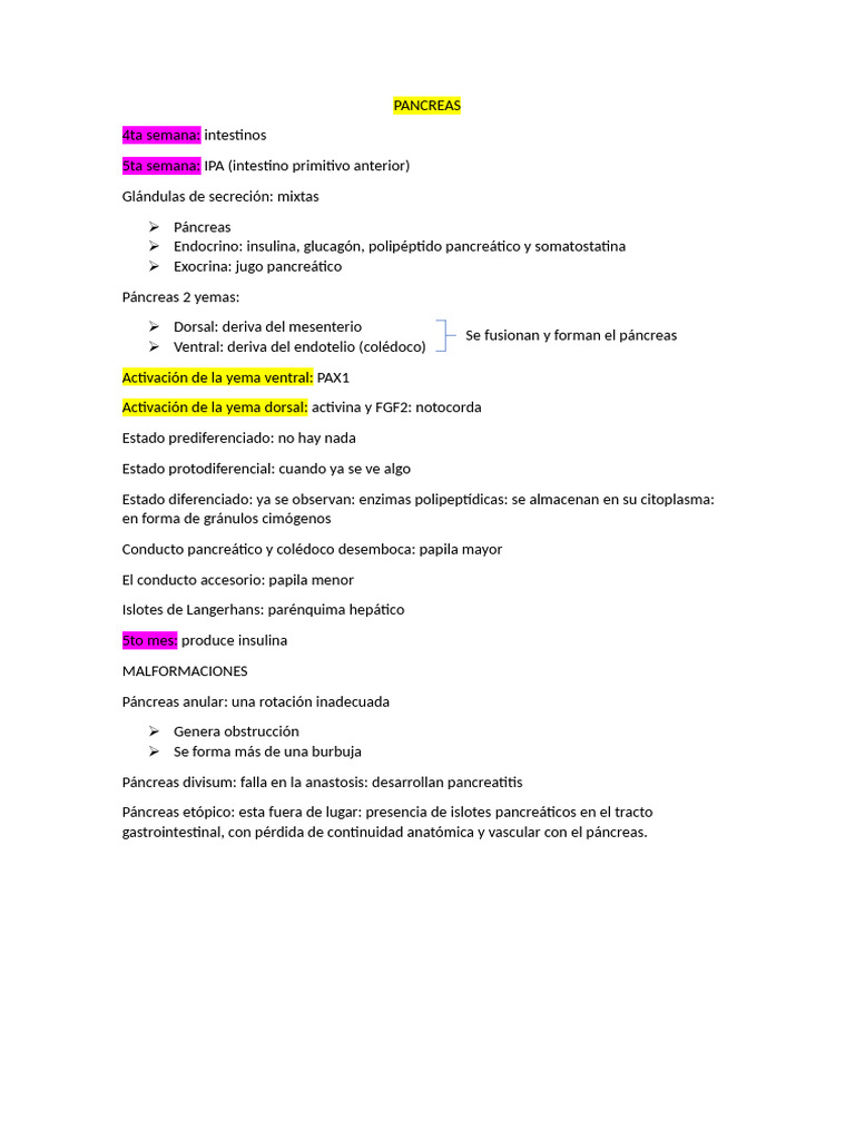 Resumen 4to Semestre | PDF