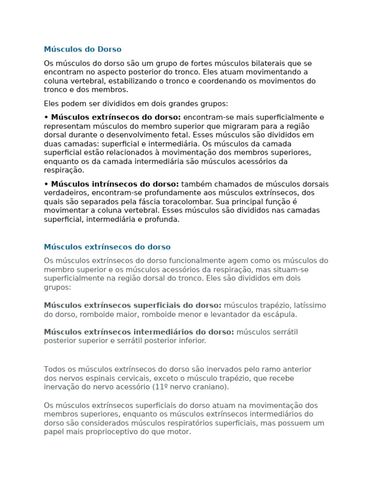 Músculos Do Dorso | PDF