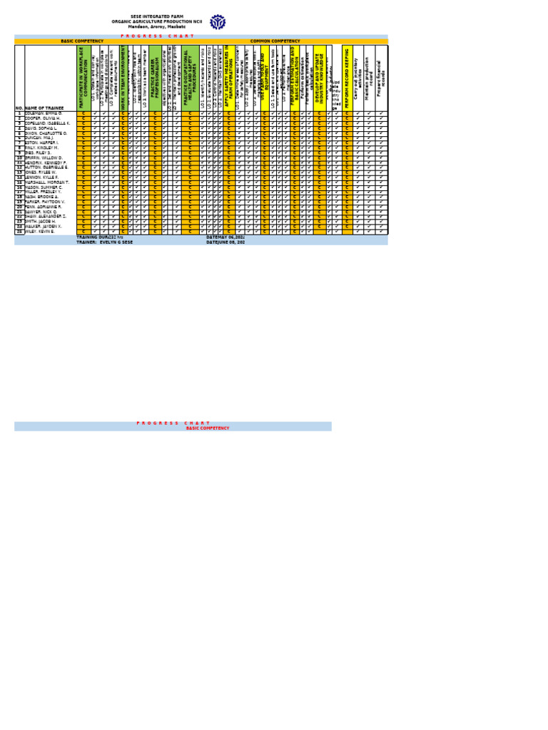 02A PROGRESS CHART | PDF
