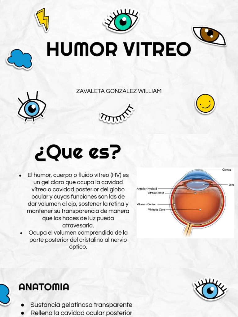 Humor Vitreo | PDF