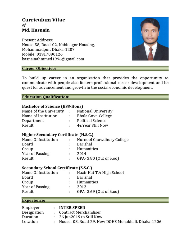 Curriculum Vitae of Hasnain | PDF