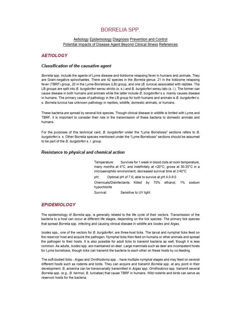 Borrelia SPP Infection With | PDF
