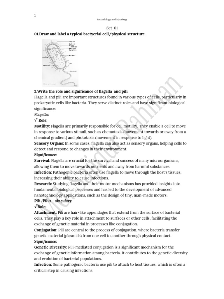 Bacteriology and Mycology Question Set | PDF