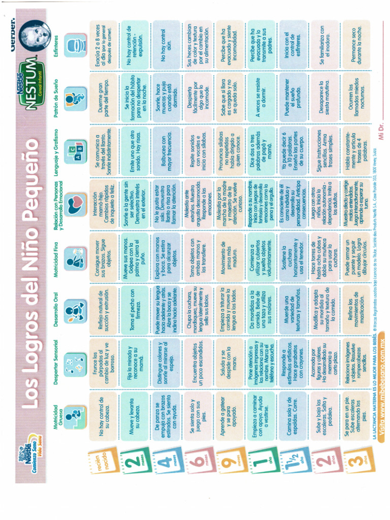 Los Logros Del Niños Pequeños | PDF