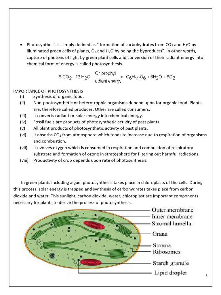 Photosynthesis | PDF