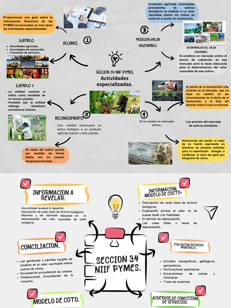 Esquema Seccion 34 PYMES | PDF