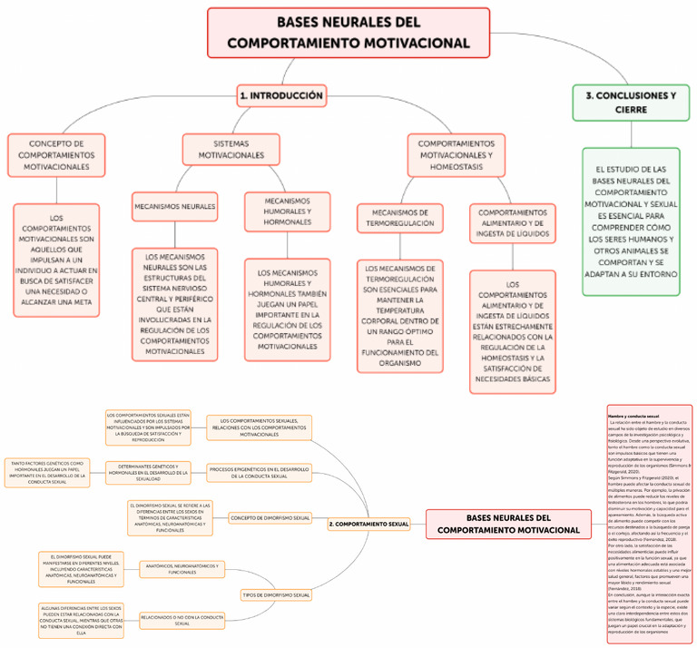 Bases Neurales Del Comportamiento Motivacional | PDF