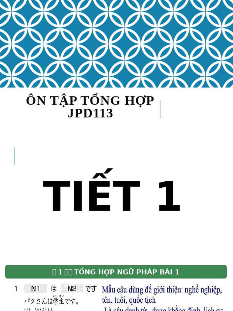 JPD113 - On Tap Tong Hop | PDF