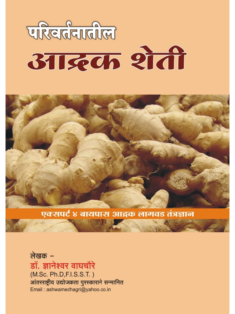 Gingerbook | PDF