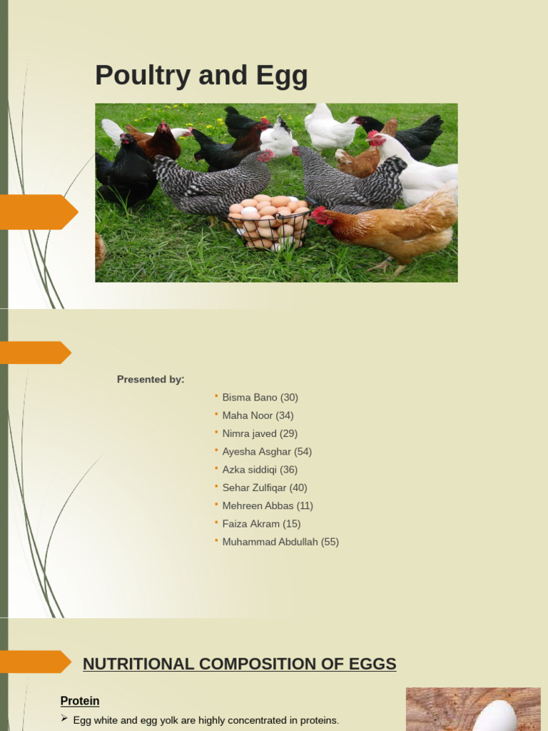 Eggs and Poultry 3 | PDF