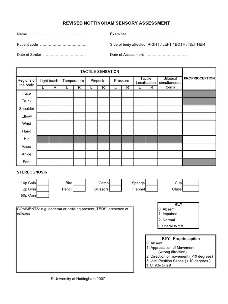 Revised NSA Form | PDF
