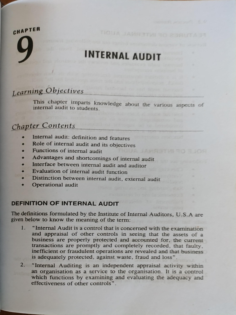Internal Audit | PDF