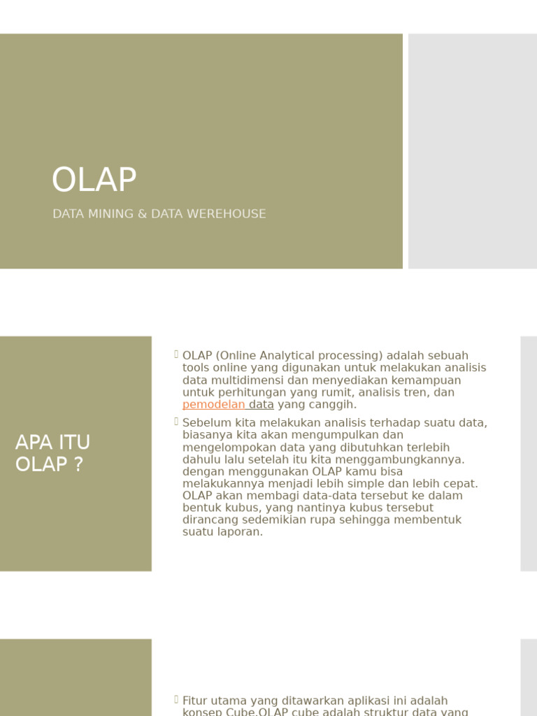 OLAP | PDF