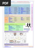 10 Week Size Surge | PDF | Physical Exercise | Dieting