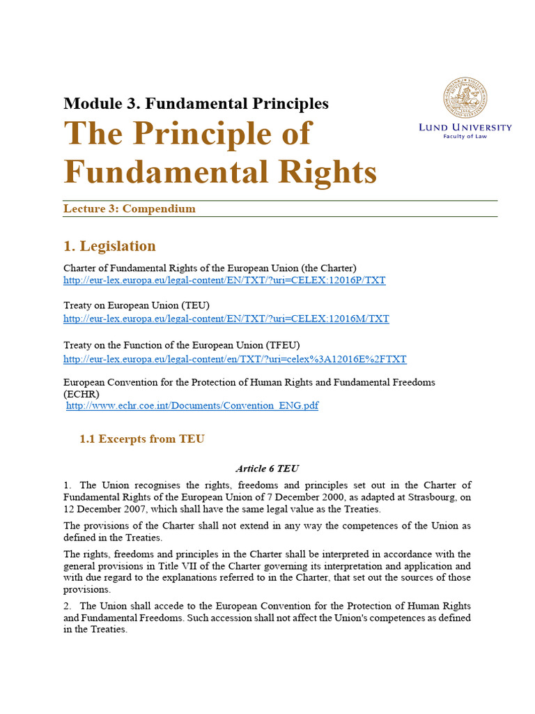 X6HCBiNBRTWhwgYjQVU1RA Lecture 3 The Principle of Fundamental Rights | PDF