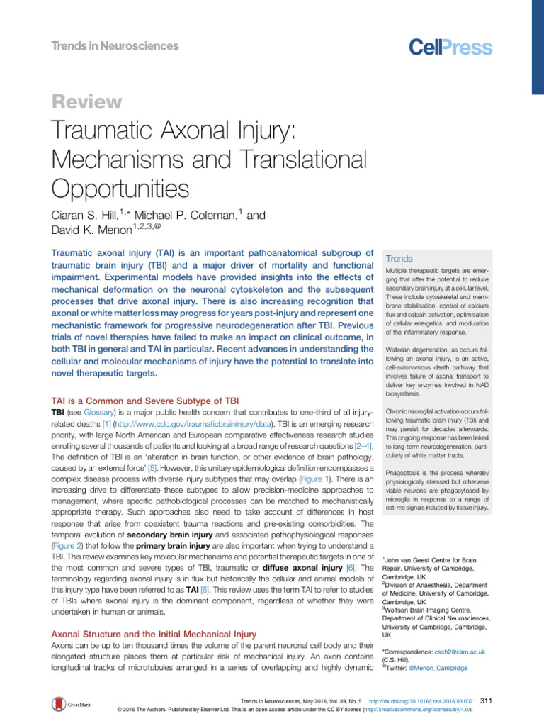 Traumatic Axonal Injury Mechanisms and Translation | PDF