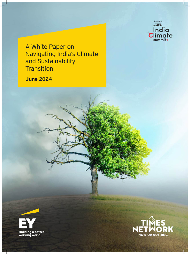 India Climate Transition White Paper 2024 | PDF | Climate Change | Business