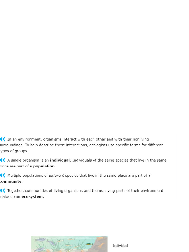 Science Grade 6 | PDF