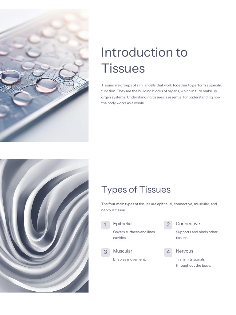 Introduction-to-Tissues | PDF
