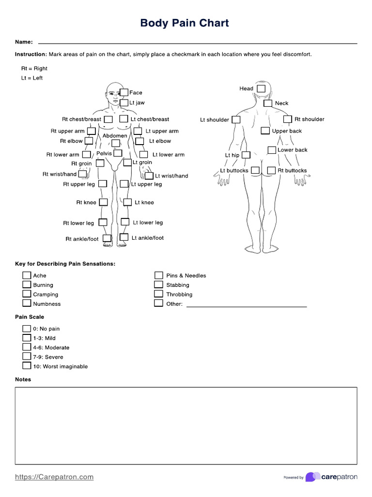 Body Pain Charts | PDF