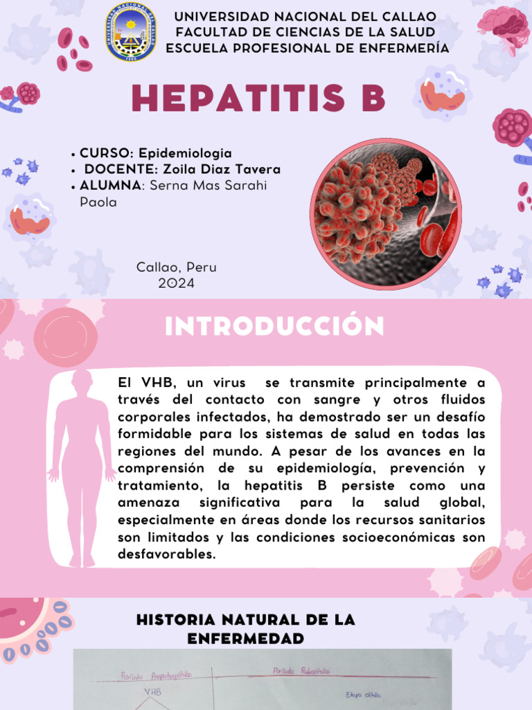 Hepatitis B | PDF