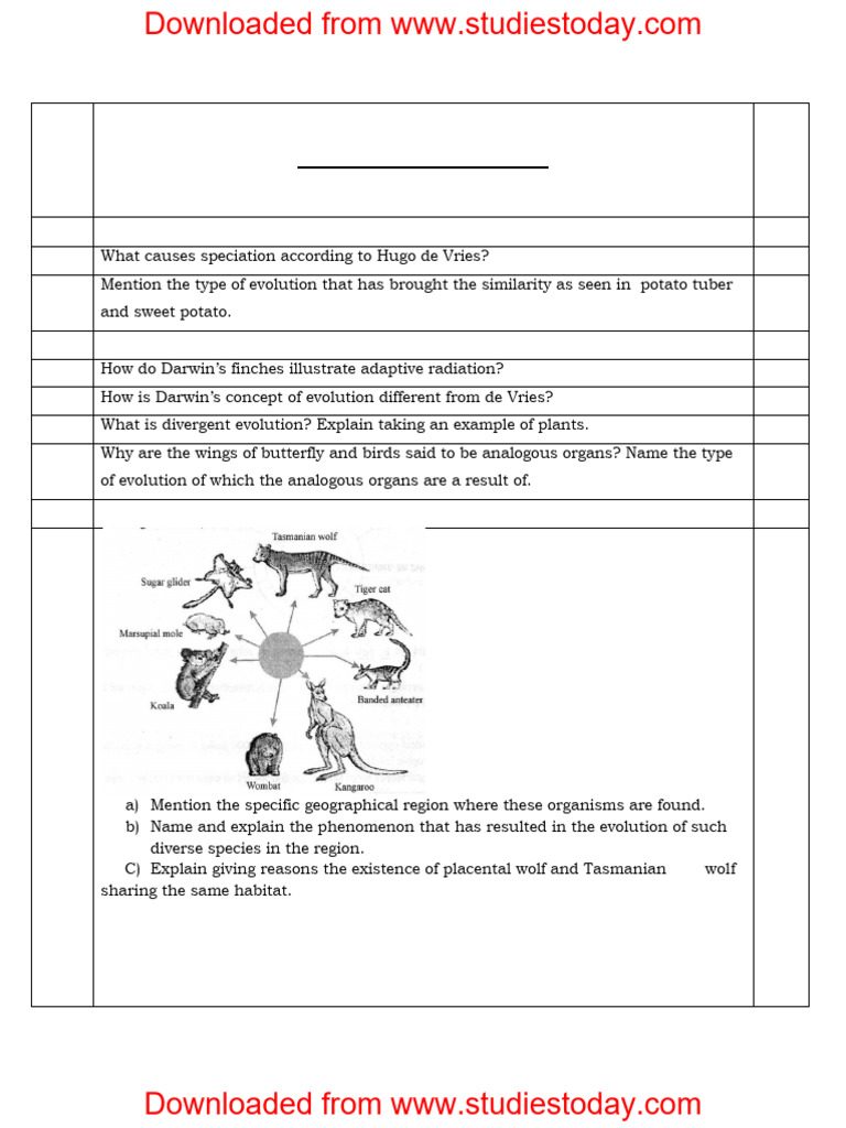 CBSE Class 12 Biology Evolution (1)(1) | PDF