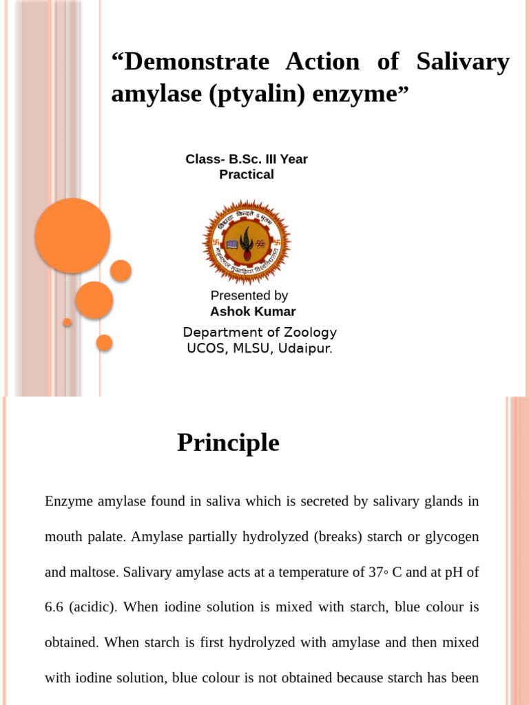 Demonstrate Action of Salivary Amylase (Ptyalin) Enzyme. | PDF ...