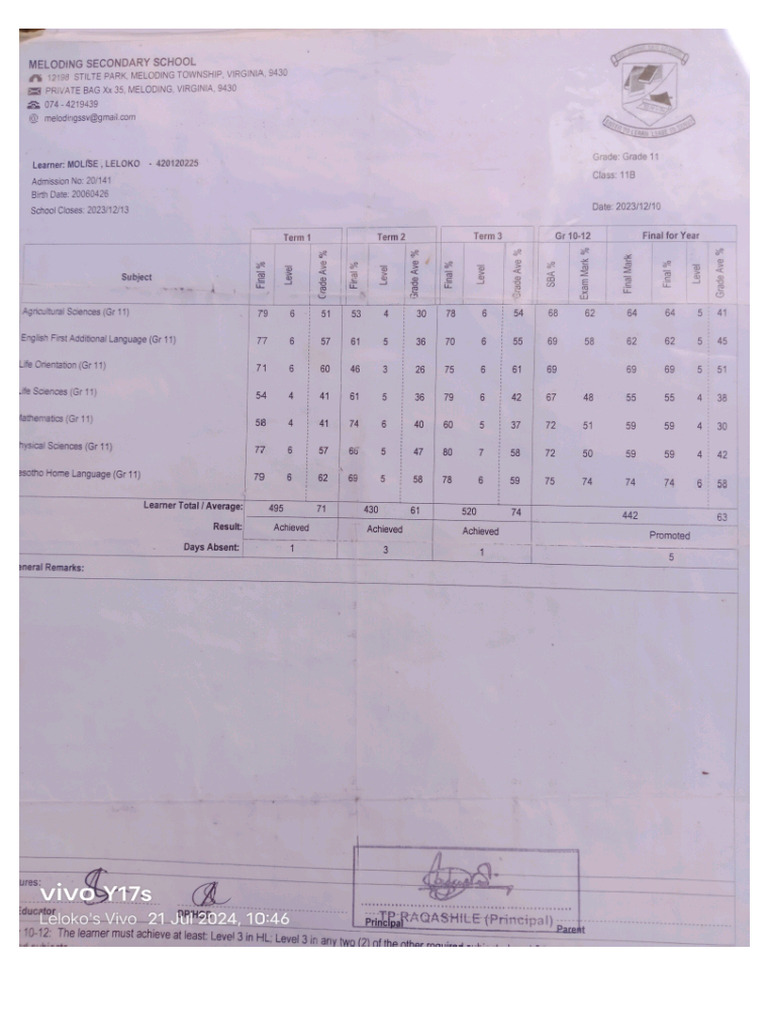 Grade 11 & Grade 12 Report | PDF