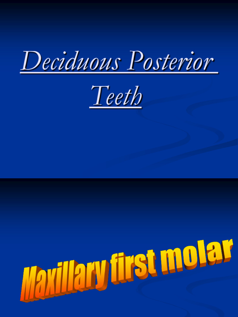 7-Deciduous Posterior Teeth | PDF