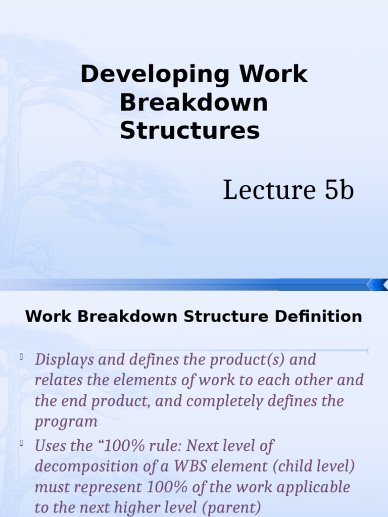 TM 420 Lecture 5b WBS - 2 | PDF