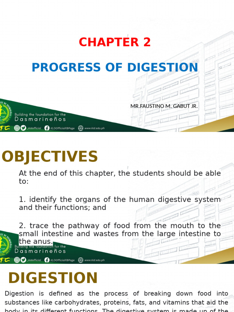 Chapter 2 Progress of Digestion | PDF
