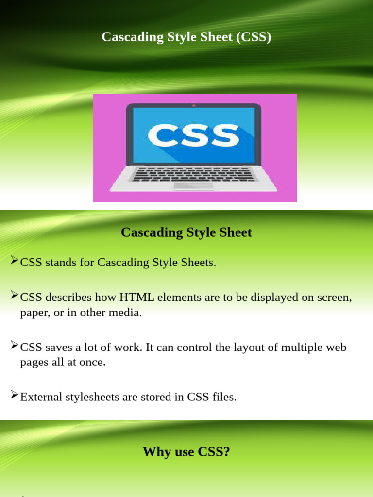 Class Viii Css Notes | PDF