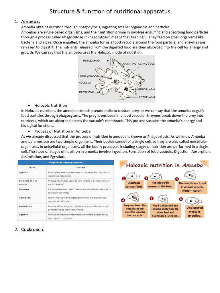 Structure & function of nutritional system | PDF