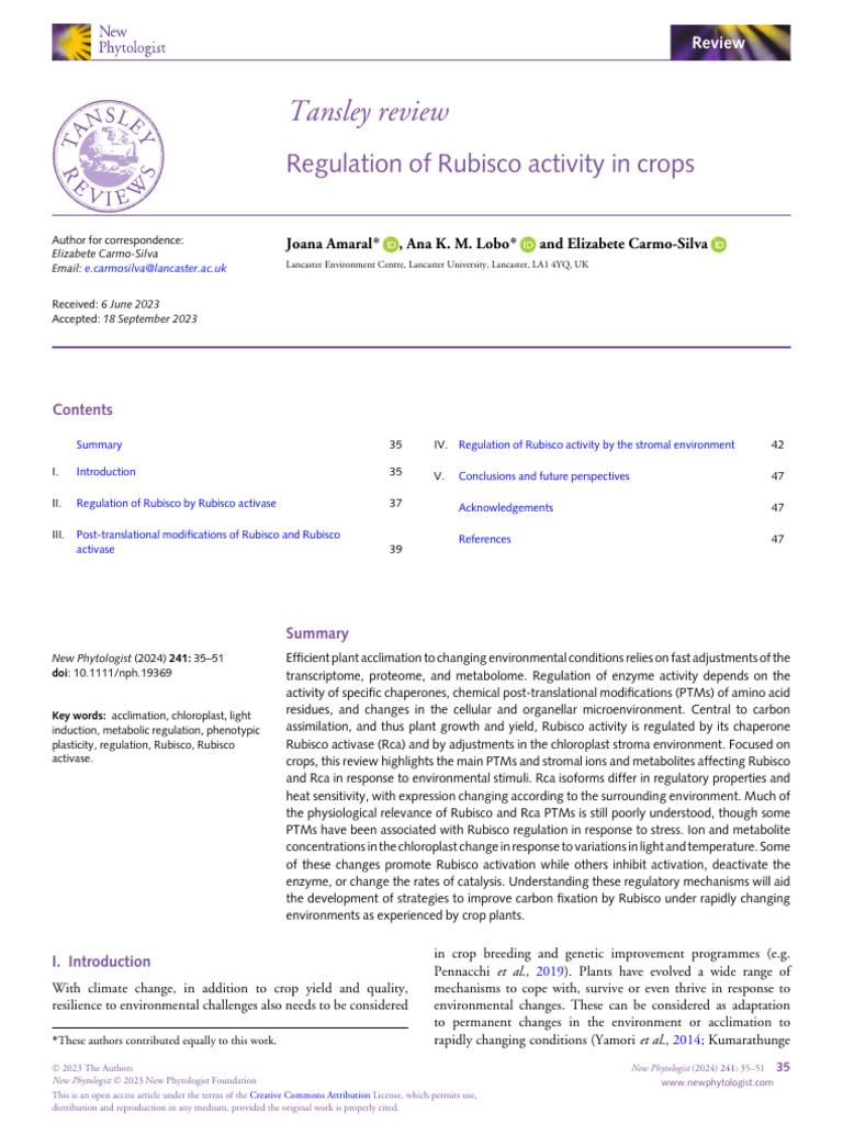 Regulation of Rubisco Activity in Crops | PDF