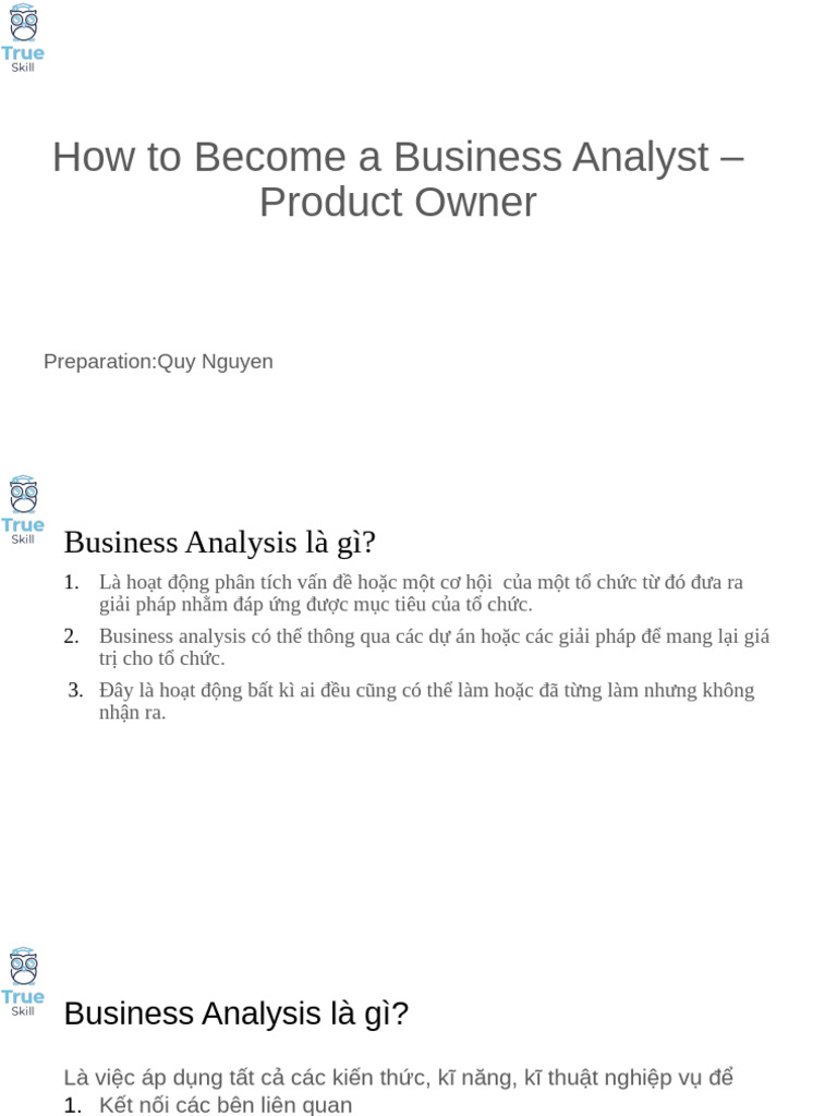 Business Analyst | PDF
