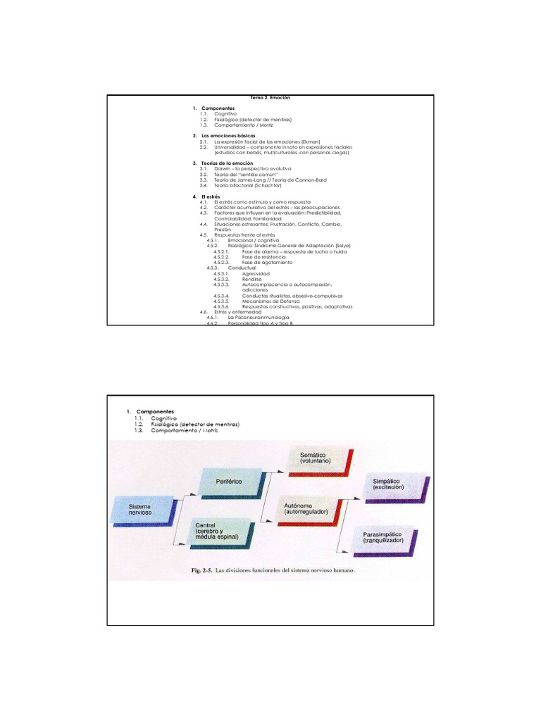Tema 3 Emoción Pdf