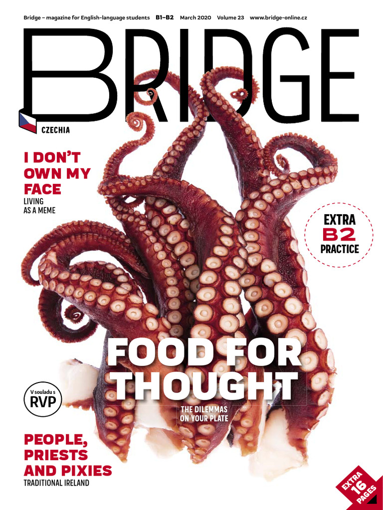 Bridge Magazine | PDF