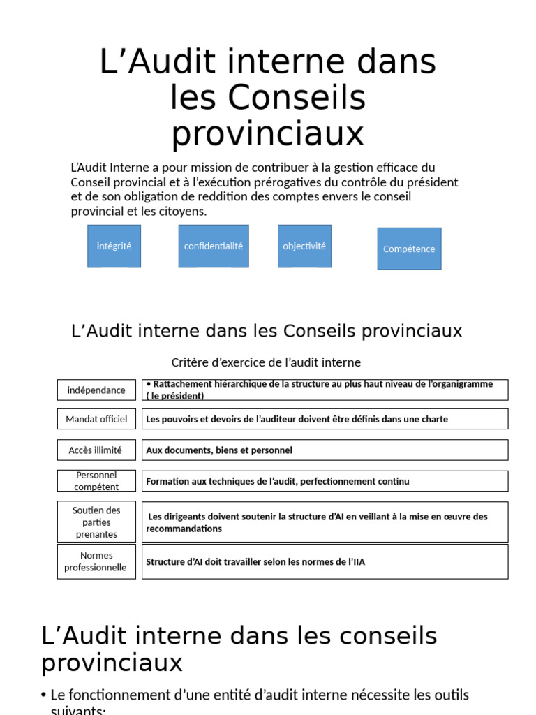 Audit Interne | PDF