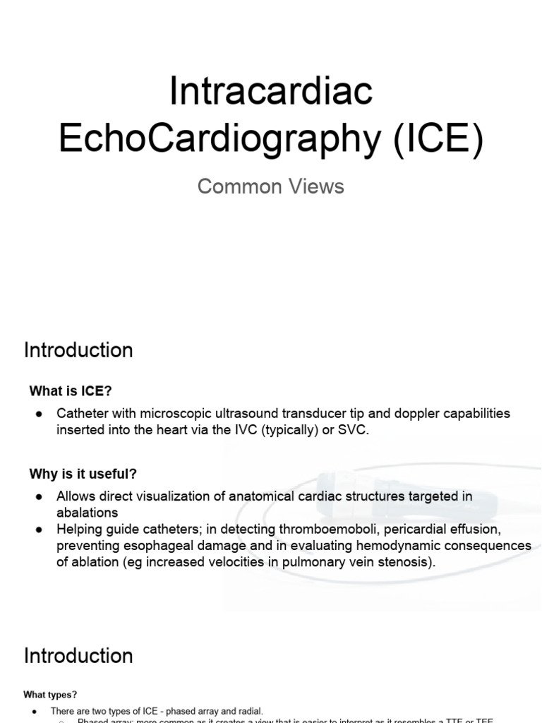 Common ICE Views | PDF