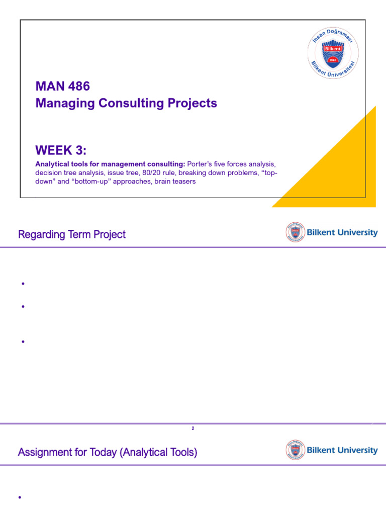 Man 486 - Week03 | PDF
