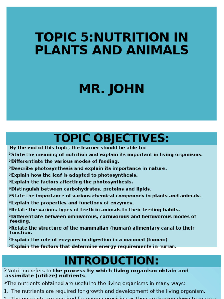 Bio F1 Nutrition in Palnts and Animals | PDF | Leaf | Carbohydrates