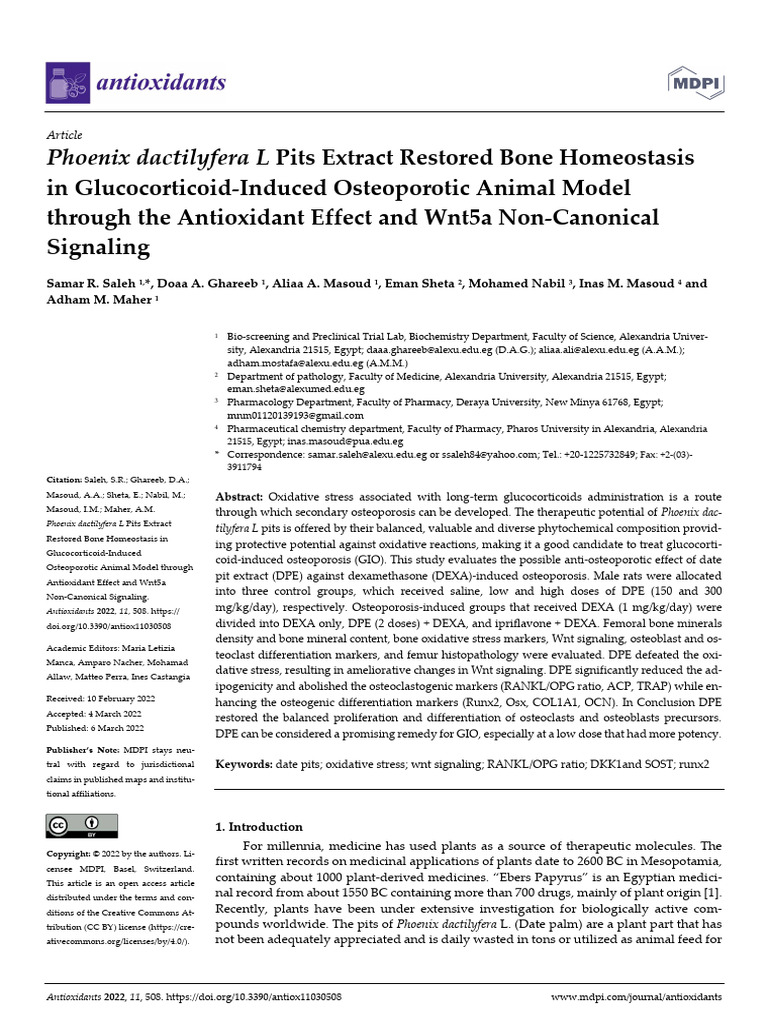 Phoenix Dactilyfera L Pits Extract Restored Bone Homeostasis | PDF ...