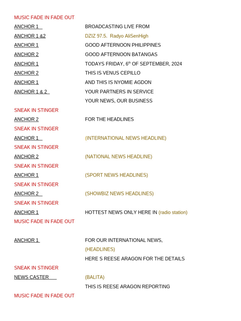 Broadcasting Script | PDF