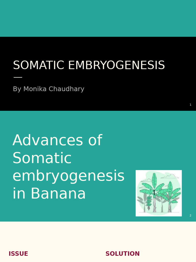 Somatic Embryogenesis | PDF | Embryo | Biotechnology