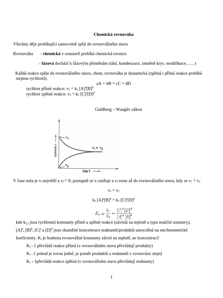 Chemické Rovnováhy A Termodynamika | PDF